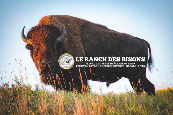 Ranch des Bisons - Oma & Opa - Des producteurs près de chez vous